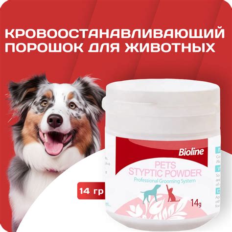 Кровоостанавливающий порошок для собак и кошек BIOLINE применяется для ...