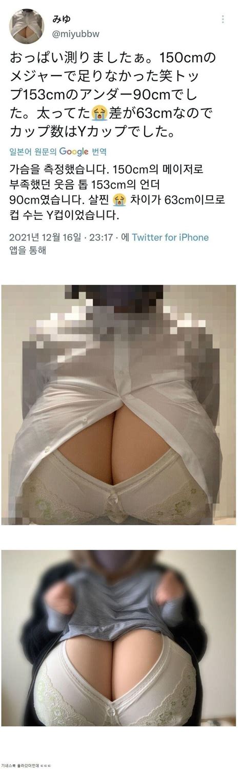 무려 기네스북에 올라갔다는 자연산 Y컵 왕가슴