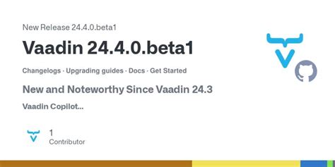 Diego Cardoso On Linkedin Release Vaadin 2440beta1 · Vaadinplatform
