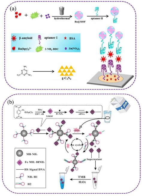 Figure 4 From Aptamer Functionalized Metal Organic Frameworks Mofs