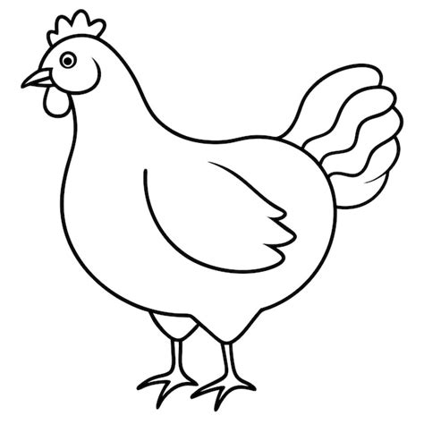 Chicken Vector Illustration Premium Vector