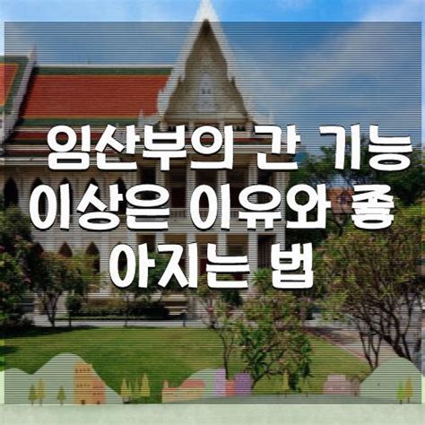 임산부의 간 기능 이상은 이유와 좋아지는 법