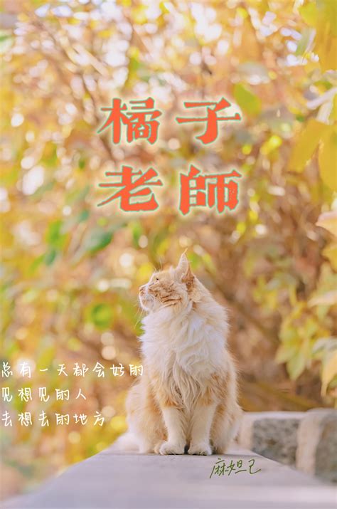 《橘子老师》温情双普【八倍镜冠名】 爱pia戏网戏鲸apppia戏剧本