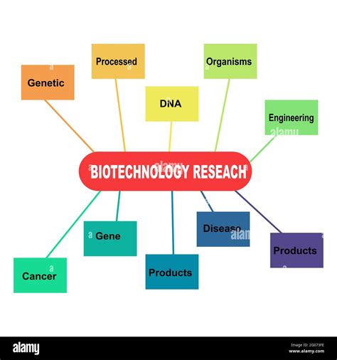 Plant Genetic Engineering Diagram