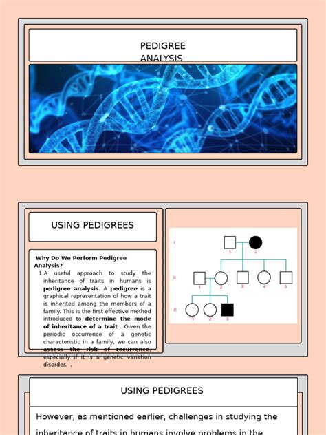 Using Pedigrees Pdf Dominance Genetics Heredity