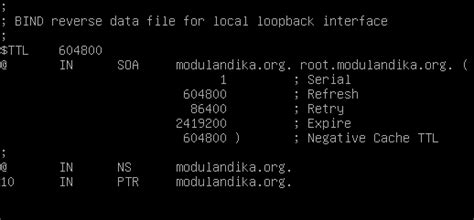 Instalasi Konfigurasi Dns Server Debian Vmware Vbox Virtualbox