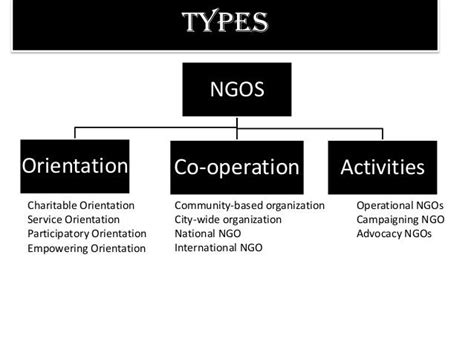 Different Kind Of Ngos “like Diverse Threads Woven Together By