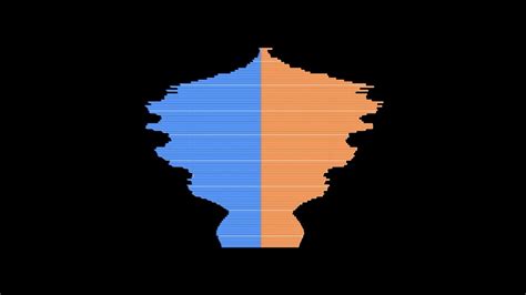 이제 노인들은 돈이 된다 Youtube