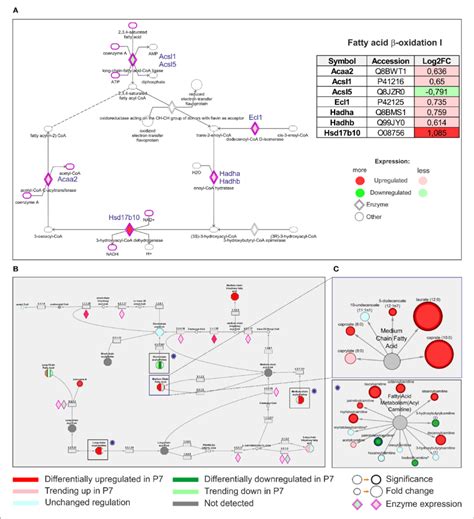 Comparative Analysis Of Differentially Expressed Proteomic And