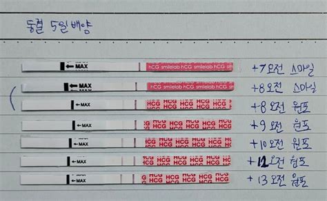 시험관 1차 4부 이식 결과 및 증상 네이버 블로그