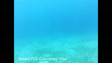 איגל ריי Youtube