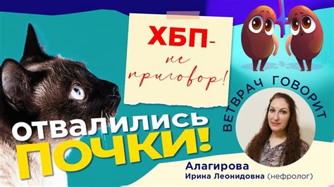 Отвалились почки Youtube