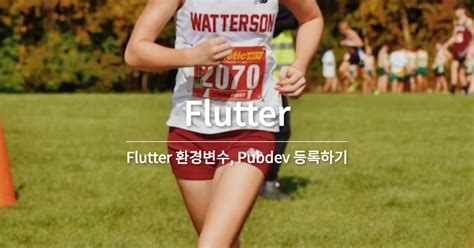Flutter Flutter 환경변수 Pubdev 등록하기
