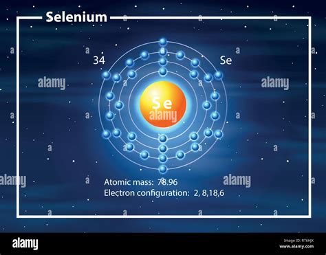Selenium Atom Diagram Concept Illustration Stock Vector Image And Art Alamy