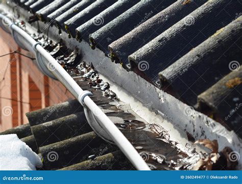 Roof Gutter Cleaning A Clogged Rain Gutter Of An Asbestos Roof With