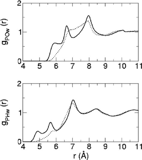 Radial Distribution Function G Of Water Oxygen Top And Water Download Scientific Diagram