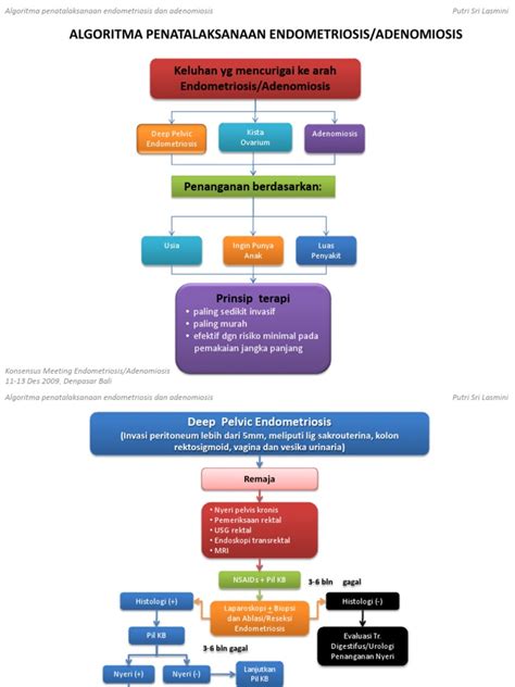Algoritma Penatalaksanaan Endometriosis Pdf