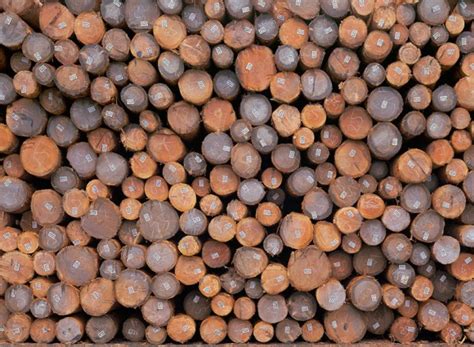 American Mass Consumption 38 Photos Klykercom