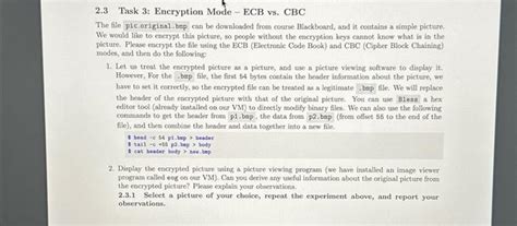 2 3 Task 3 Encryption Mode Ecb Vs Cbc The File