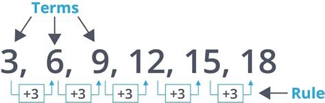 Growing Patterns 3rd Grade Math Class Ace