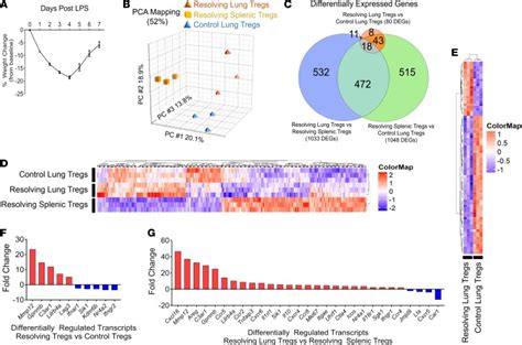 Transcriptional Analysis Of Foxp3 Tregs And Functions Of Two