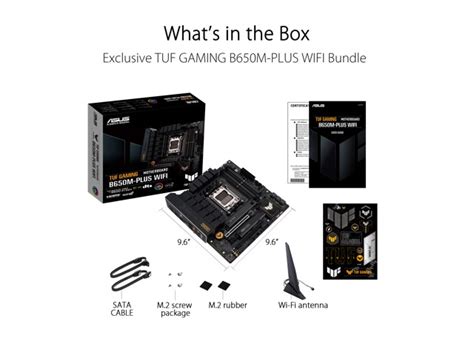 Asus Tuf Gaming B M Plus Wifi Vs Asrock B M Pg Riptide Pangoly