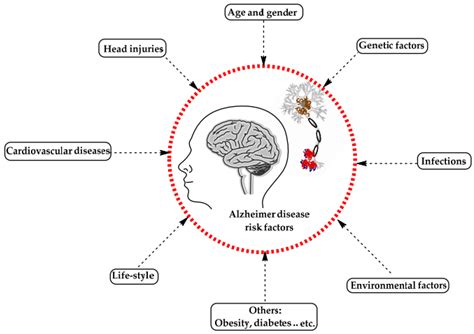 Applied Sciences Free Full Text Alzheimers Disease Diagnosis Using