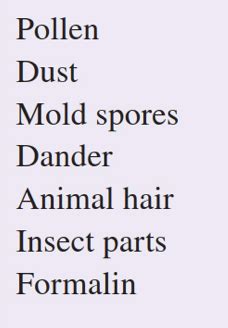 Chapter 16 Lecture Flashcards Quizlet