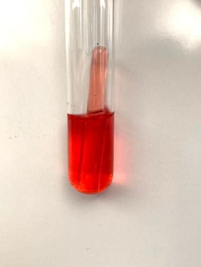 122 Fermentation Biology Libretexts