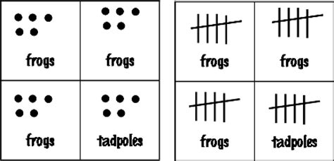 Mathwire Problem Solving Fractions