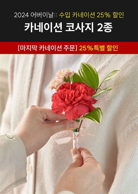 라스트 오더 25 카네이션 코사지 2종 특별 세트