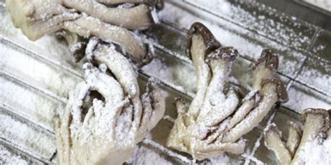 느타리버섯 볶아만 드셨다면 이렇게 드셔보세요 최소의 레시피