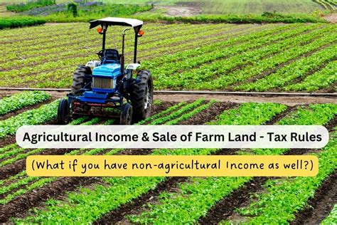 Agricultural Income Taxation Rules Fy 2023 24 A Complete Guide
