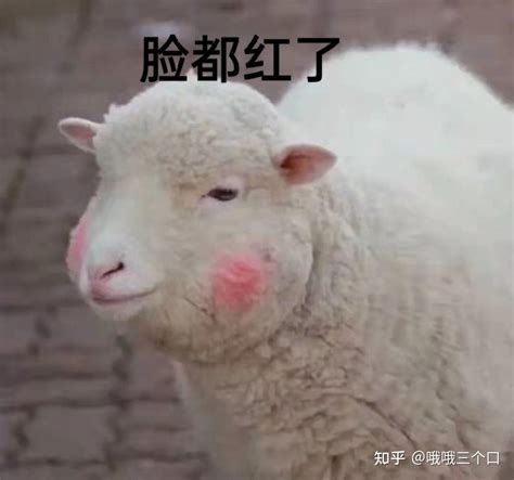 只要思想不滑坡办法总比困难多 知乎