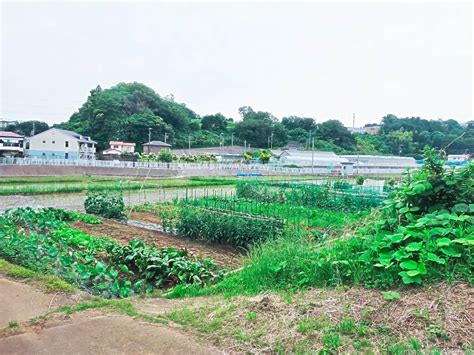 舞岡駅は利便性があり自然豊かで暮らしやすい 横浜で暮らそう