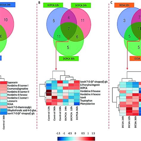 Metabolite Class Distribution Of All Annotated Discriminant Metabolites Download Scientific
