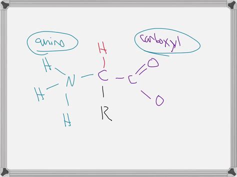 Solved What Functional Group S Are Present In The Compound Shown Amine And Carboxylic Acid