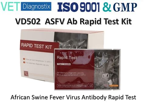 African Swine Fever Virus Antibody Rapid Test Kits Asfv Ab African Swine Fever Virus