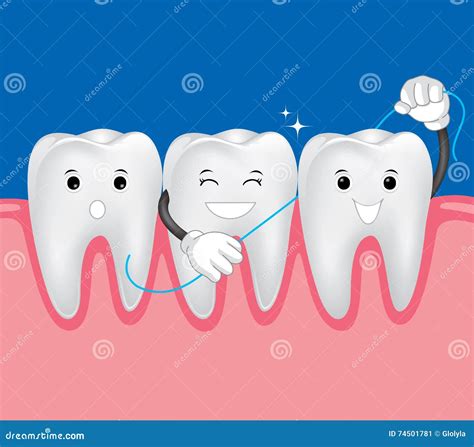 Tanden Met Tandzijde Vector Illustratie Illustration Of Sluit 74501781