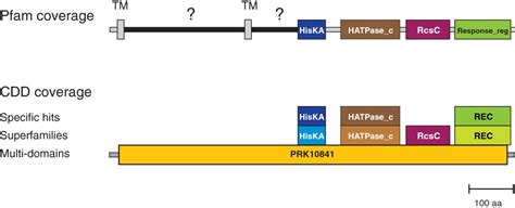 Dynamics Of Domain Coverage Of The Protein Sequence Universe Jouline Lab