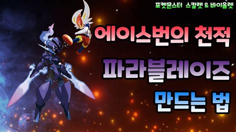 [포켓몬 스칼렛 바이올렛] 초보자를 위한 최강의 테라레이드용 포켓몬 파라블레이즈 에이스번 이벤트 공략용 Youtube
