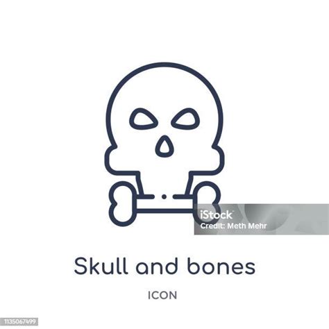 항해 개요 컬렉션에서 두개골과 뼈 아이콘입니다 얇은 라인 두개골과 뼈 아이콘 흰색 배경에 고립입니다 건강관리와 의술에 대한 스톡 벡터 아트 및 기타 이미지 Istock