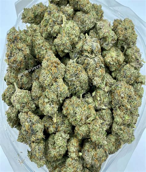 Buy Bulk Grease Monkey Online One Two Treez