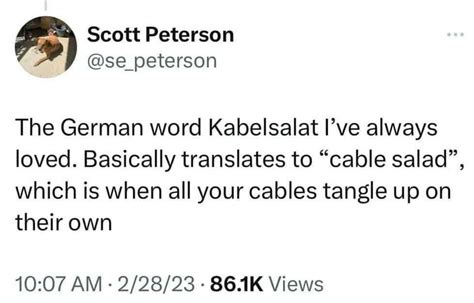 Weird Memes From A Weird Lady Enjoy Album On Imgur