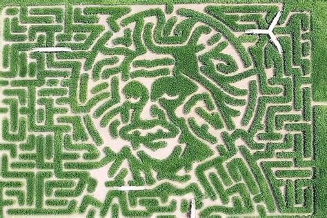 Davis Mega Maze