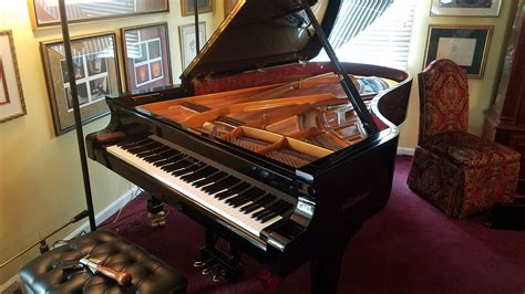 Bluthner 2 Eric Johnson Pianos