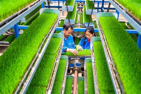 江西吉水：智能化助力春耕育秧 人民图片网