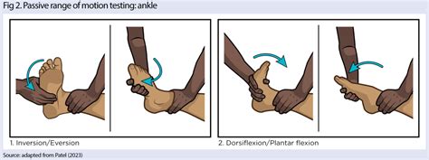 How To Assess Patients Presenting With Musculoskeletal Conditions