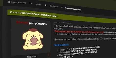 Conor Brian Fitzpatrick Aka Pompompurin Hacker Arrested