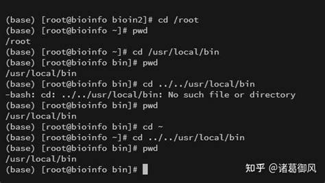 【医学生学linux】l4ms004 Linux 目录结构及文件基本操作 知乎